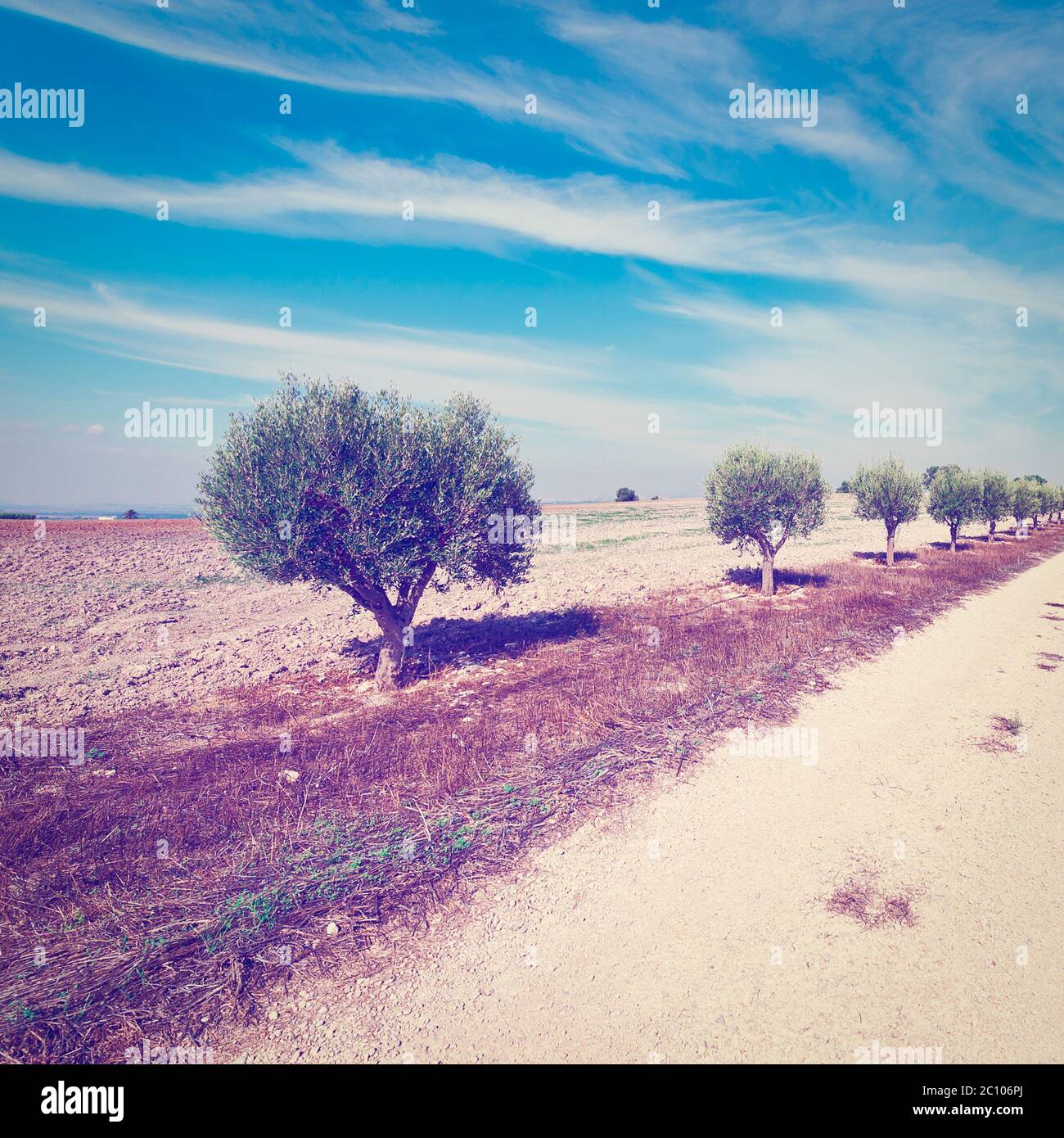 Grain alley hi-res stock photography and images - Alamy