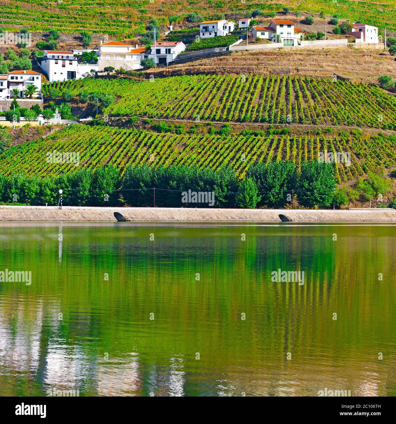 Douro line hi-res stock photography and images - Alamy