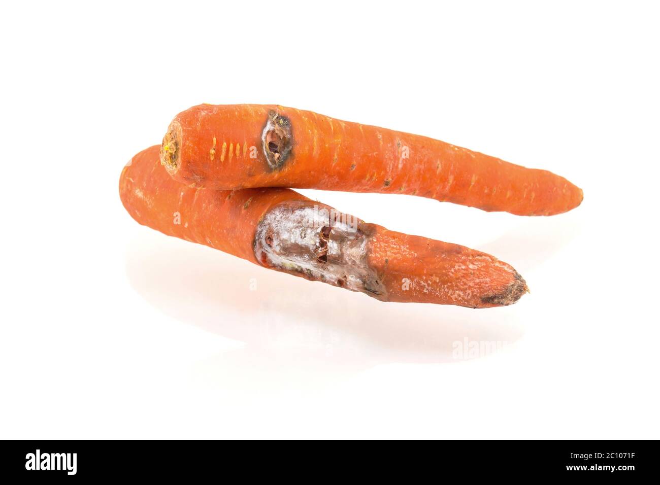 Rotten carrot isolated on white background Stock Photo - Alamy