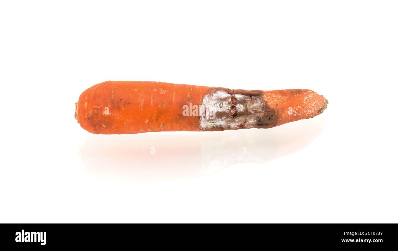 Shrivelled vegetable hi-res stock photography and images - Alamy