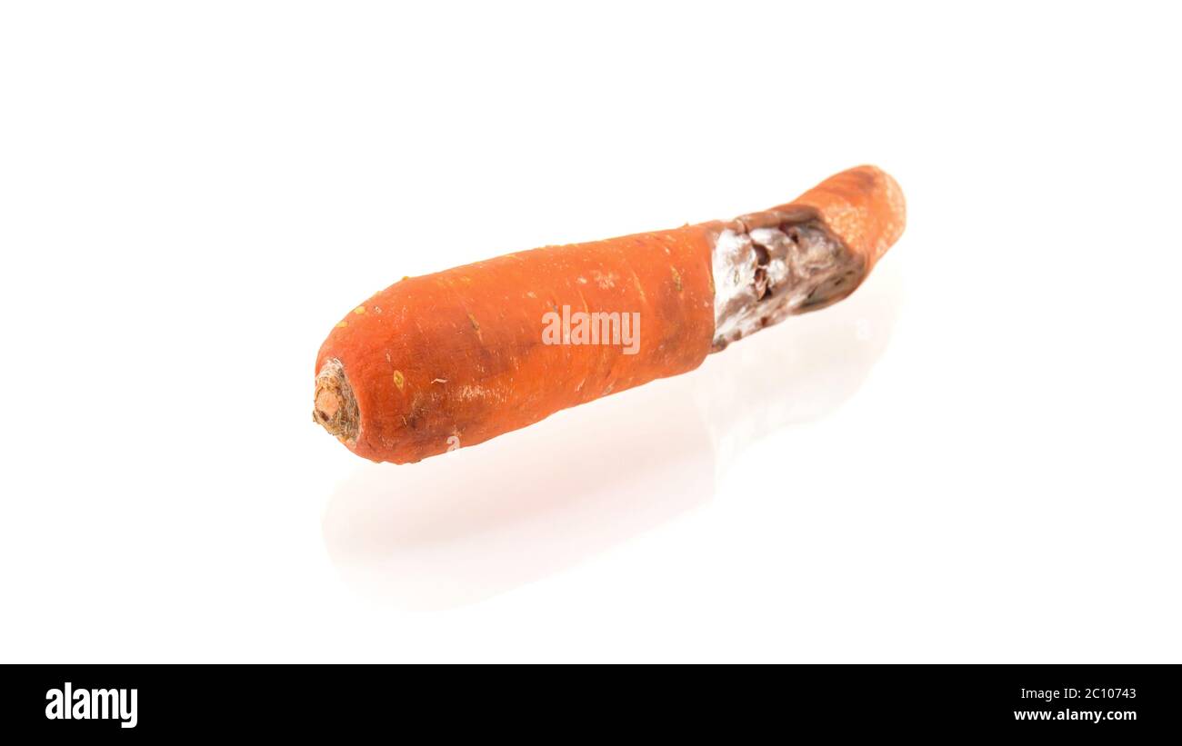 Rotten carrot isolated on white background Stock Photo - Alamy