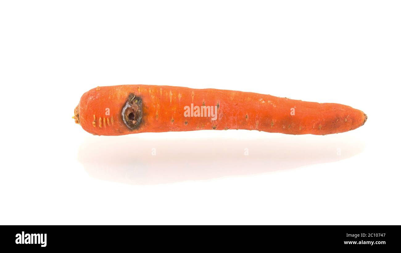 Rotten carrot isolated on white background Stock Photo - Alamy