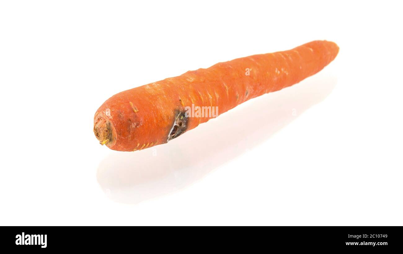 Carrots Rotting