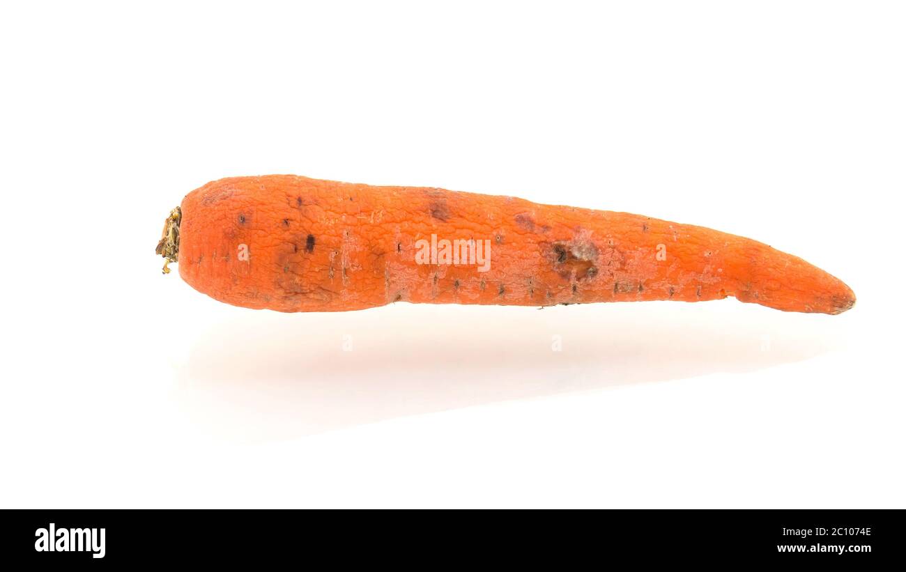Rotten carrot isolated on white background Stock Photo - Alamy