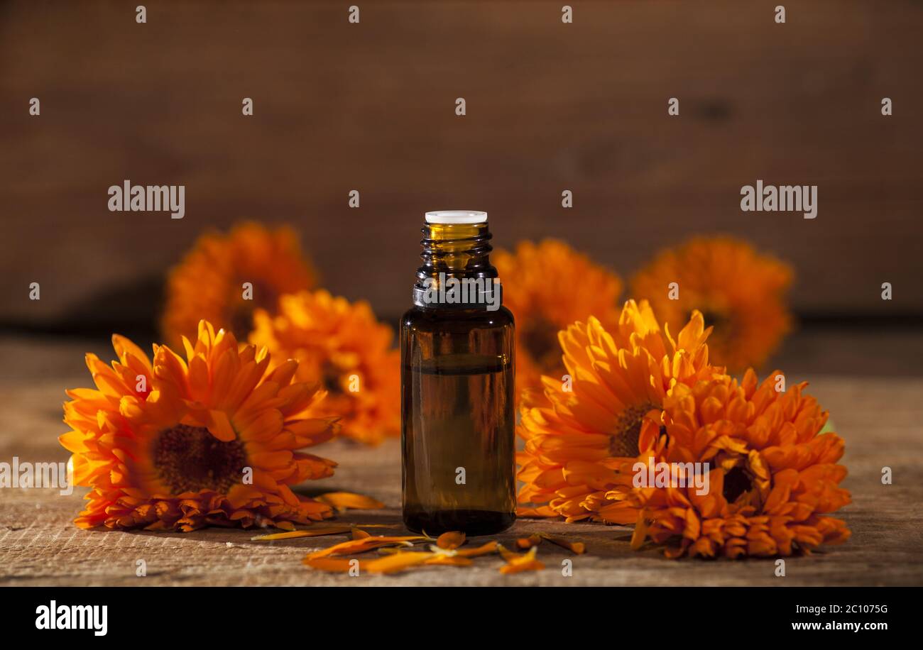 Marigold Essential Oil Stock Photo - Alamy
