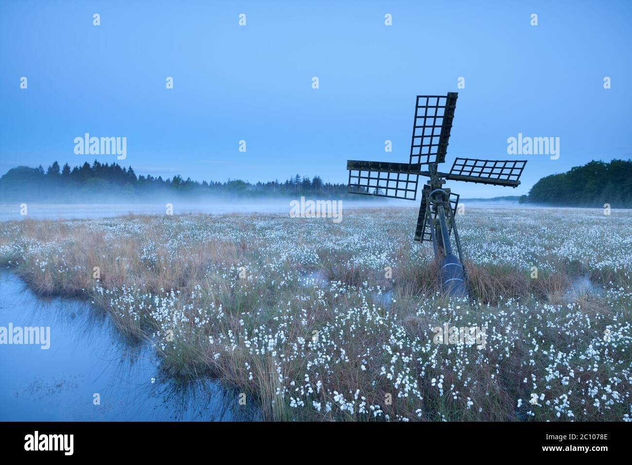 old windmill on swamp with cotton-grass Stock Photo - Alamy