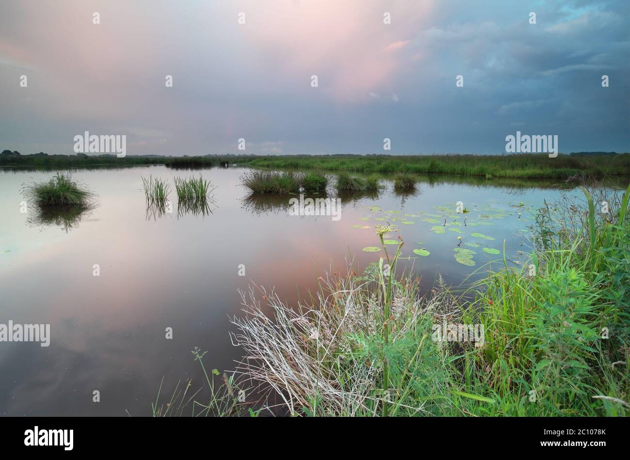 Rain during hi-res stock photography and images - Alamy