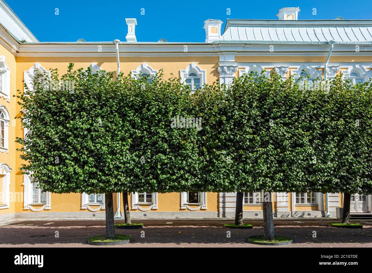 Topiary Tree Park High Resolution Stock Photography and Images - Alamy