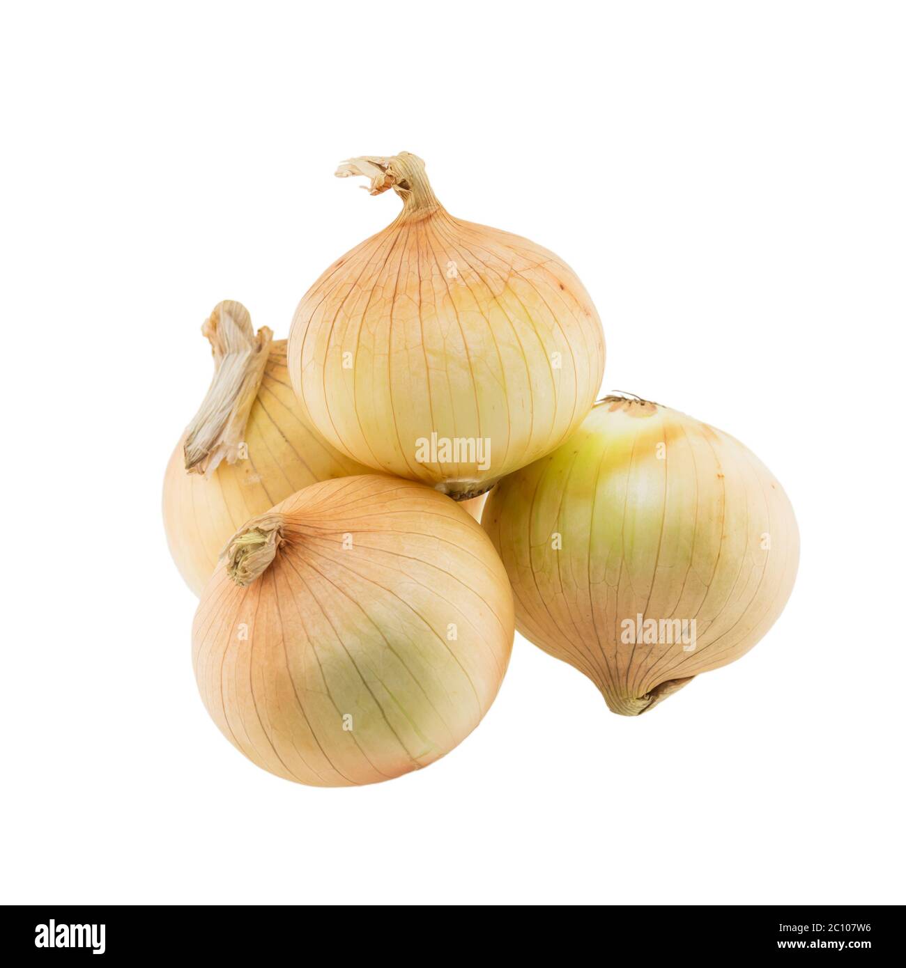 Onion isolated on white background Stock Photo - Alamy