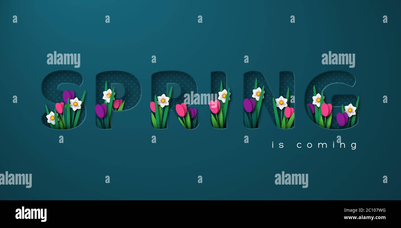 Spring card narcissus Stock Vector Images - Alamy