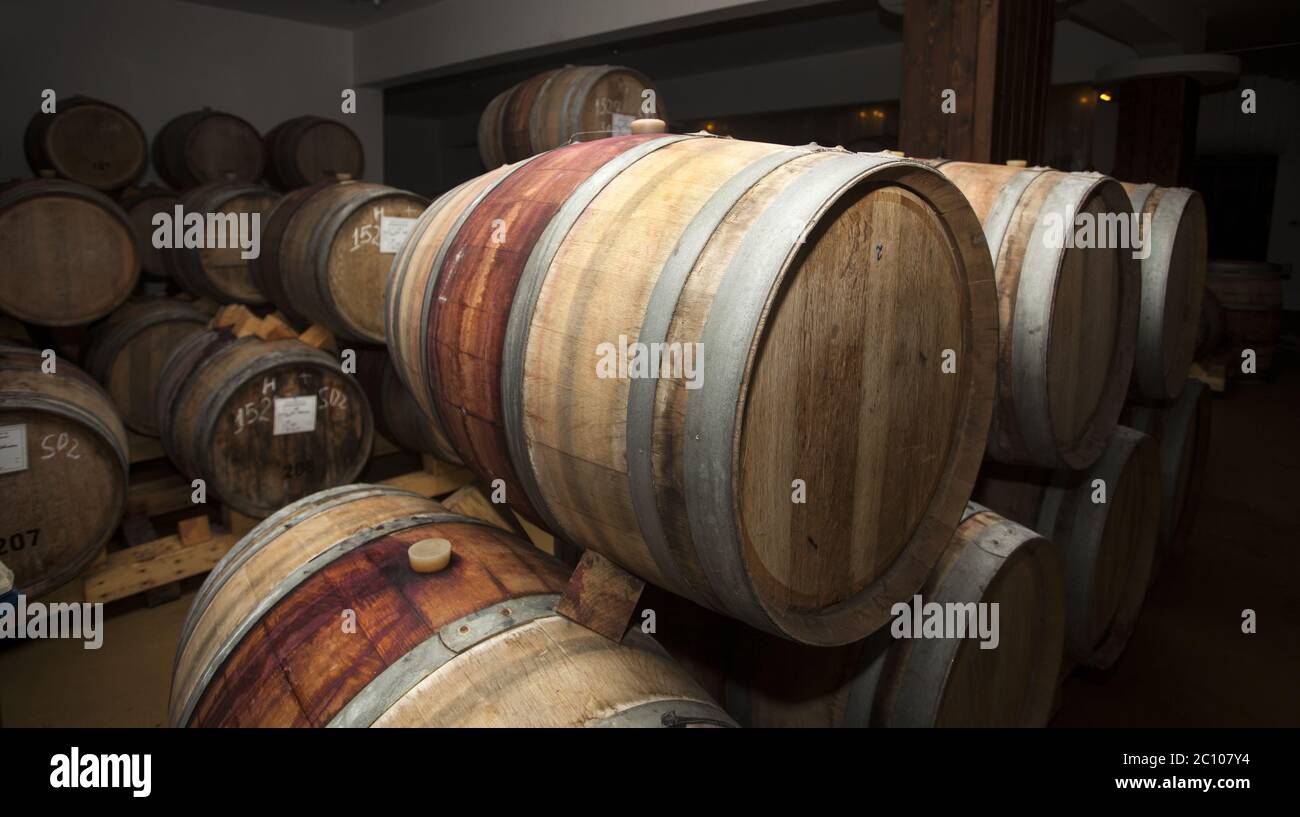 Wine barrels in cellar Stock Photo - Alamy