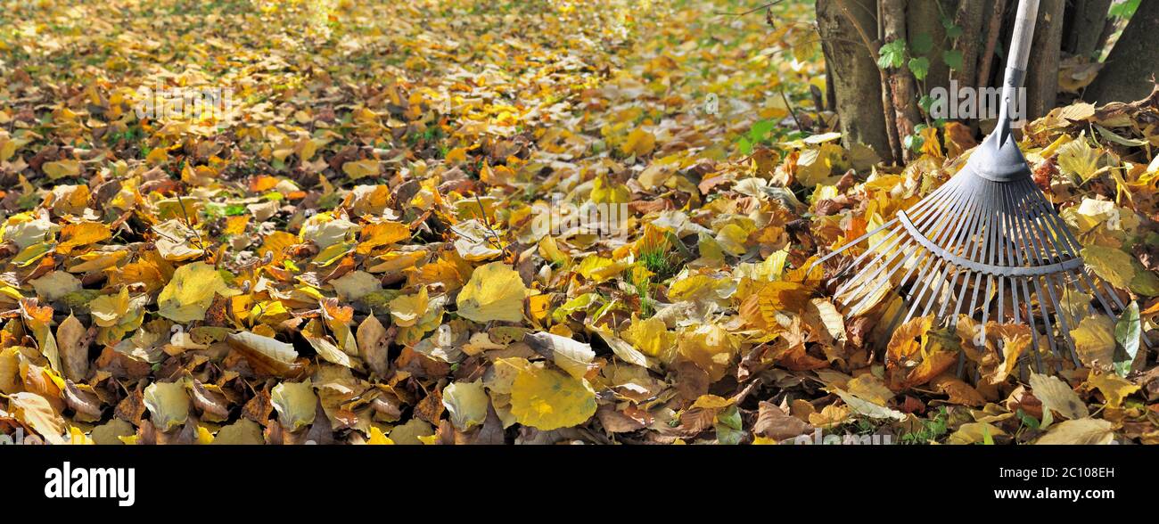 Rake against a tree hi-res stock photography and images - Alamy