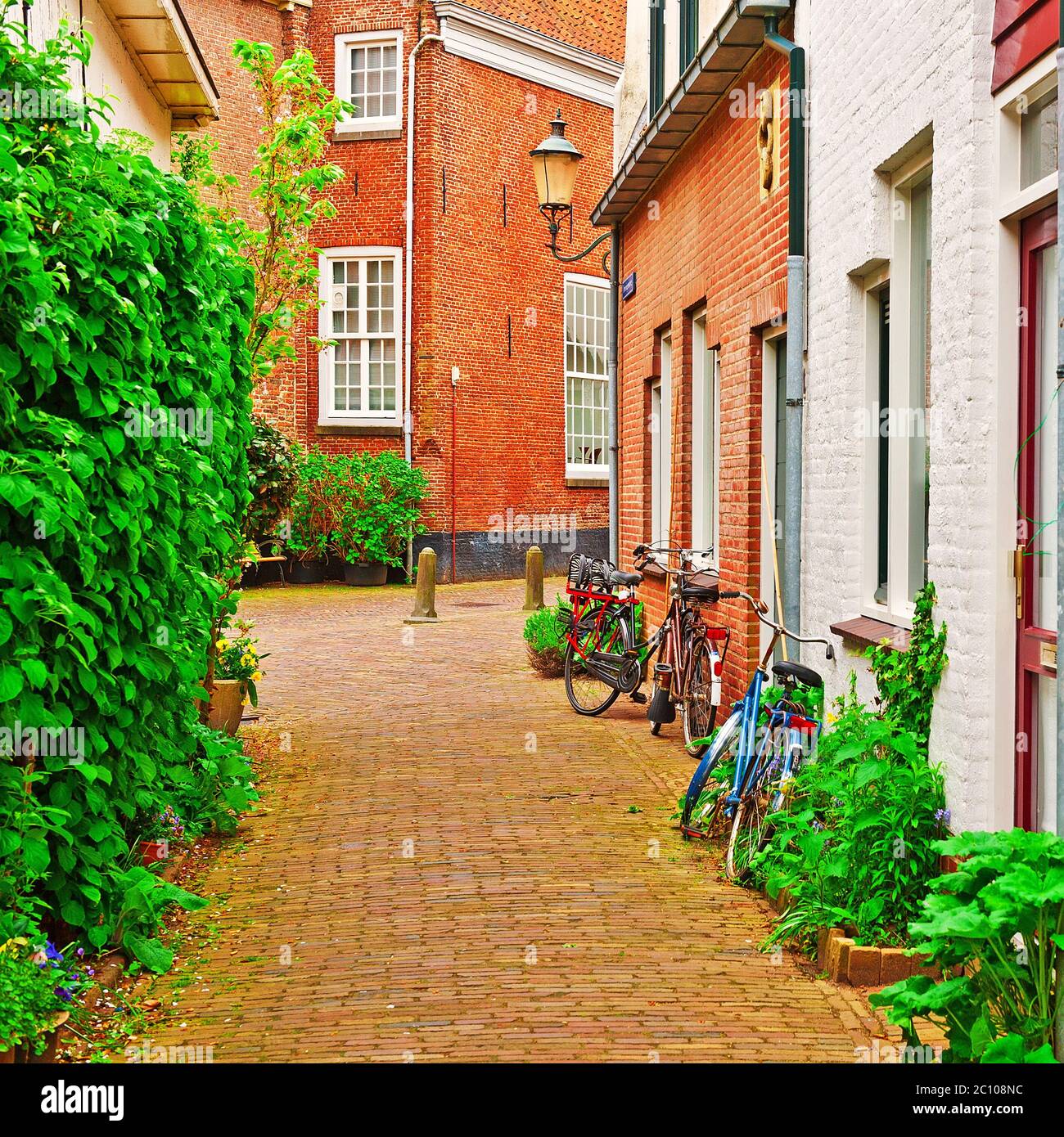 Narrow street bike plant hi-res stock photography and images - Alamy