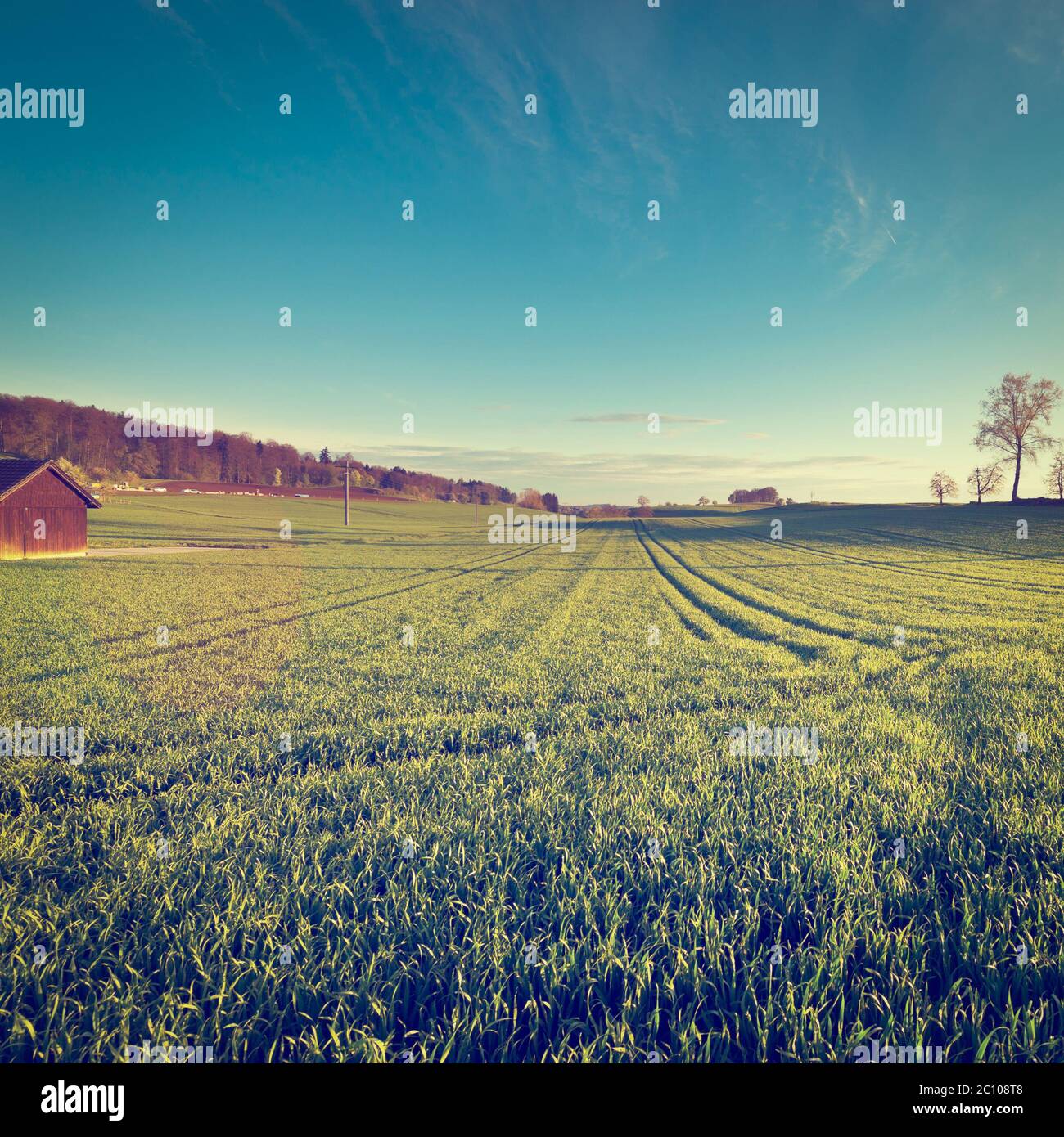 Sky blue morning shade hi-res stock photography and images - Alamy