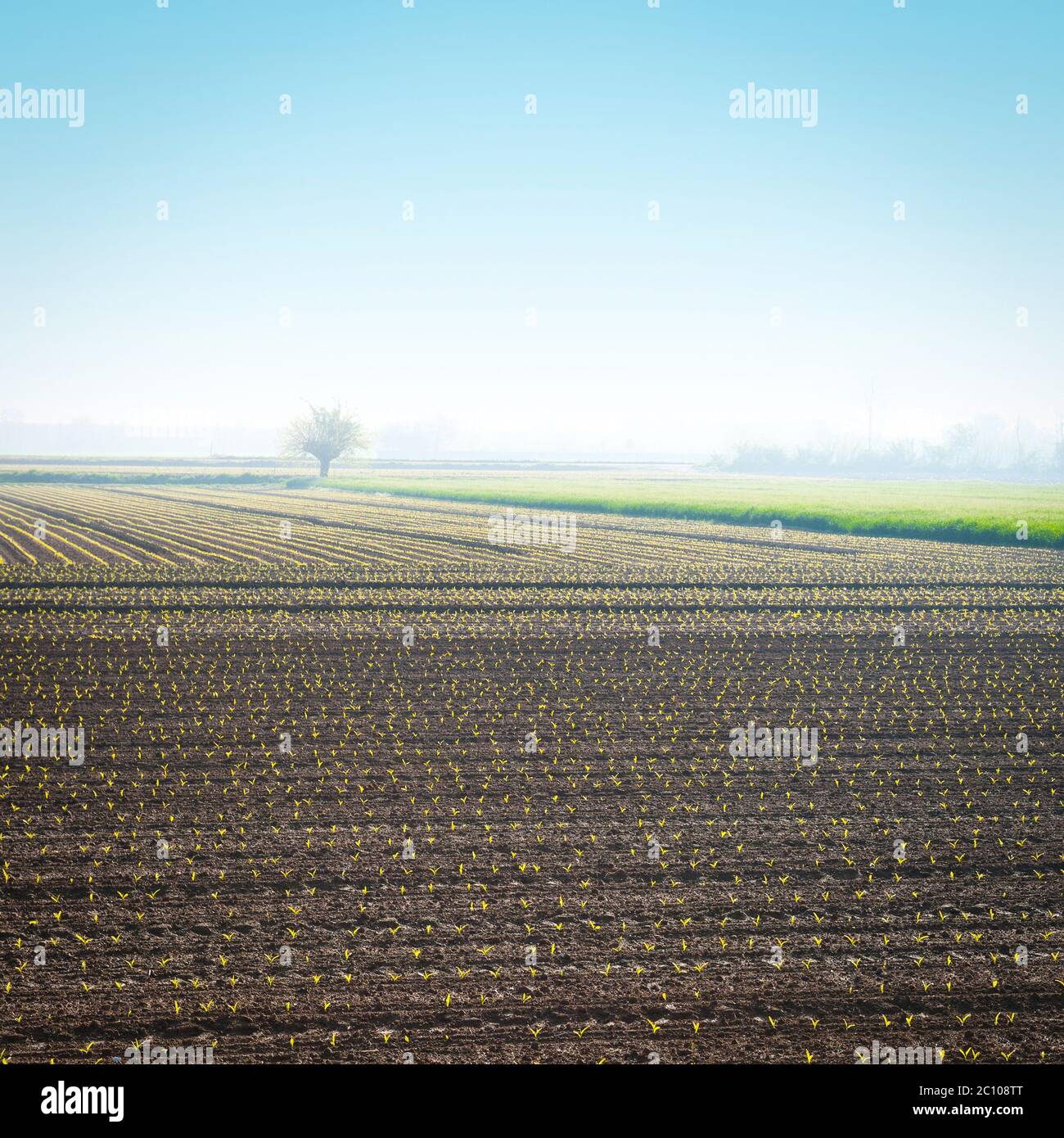 Mist invisible hi-res stock photography and images - Alamy