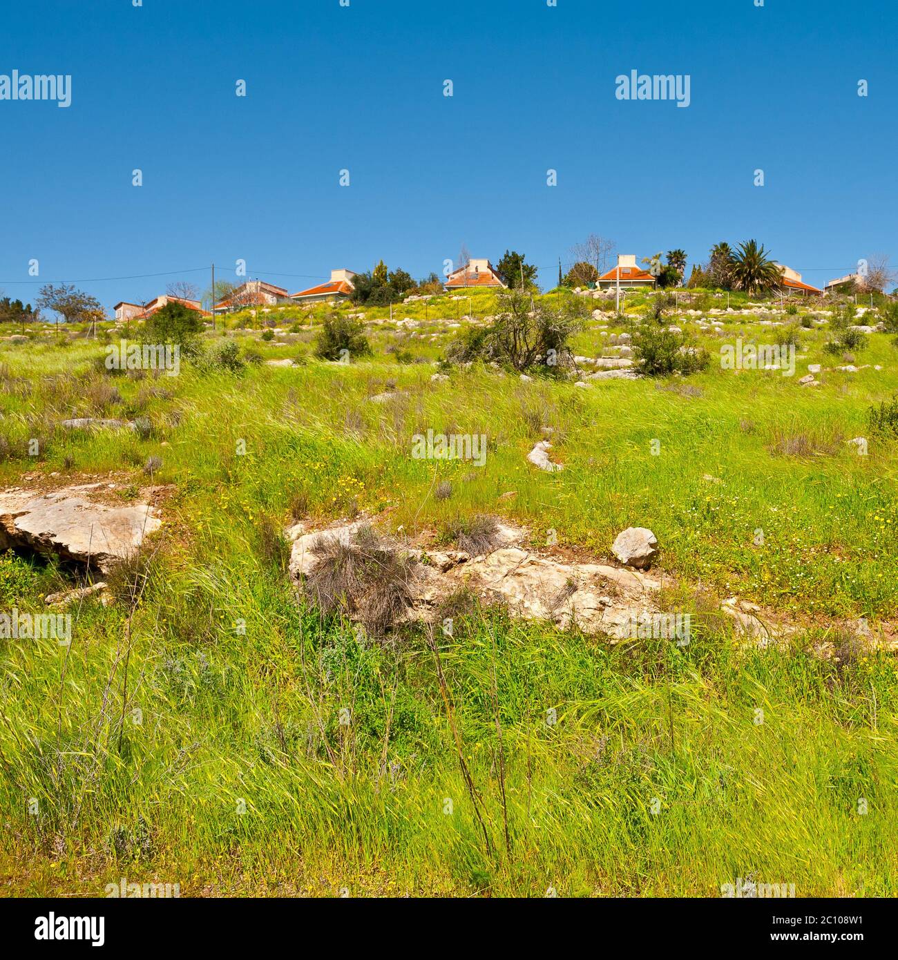 Settlement cell hi-res stock photography and images - Alamy