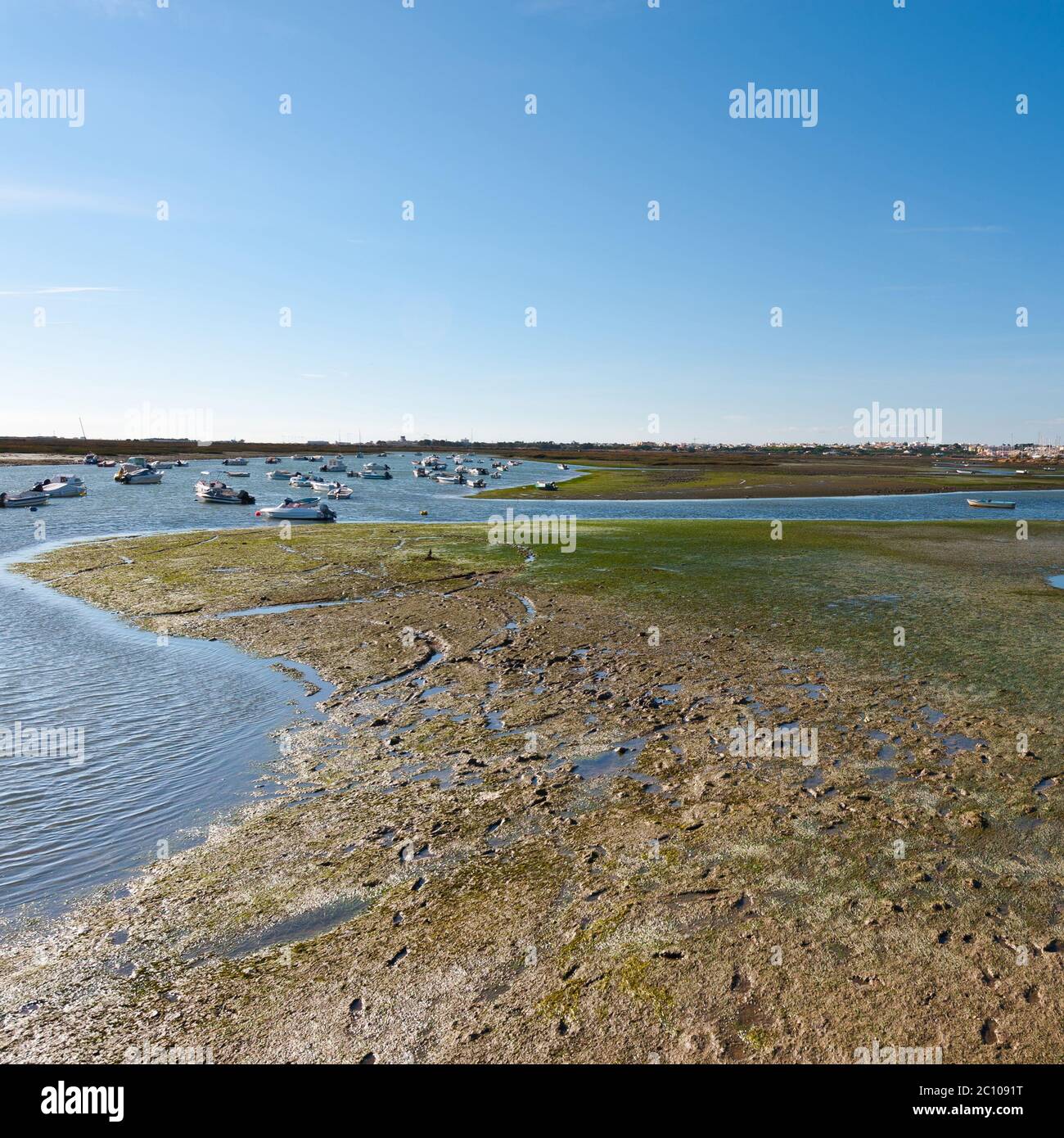 Swamp ocean hi-res stock photography and images - Alamy