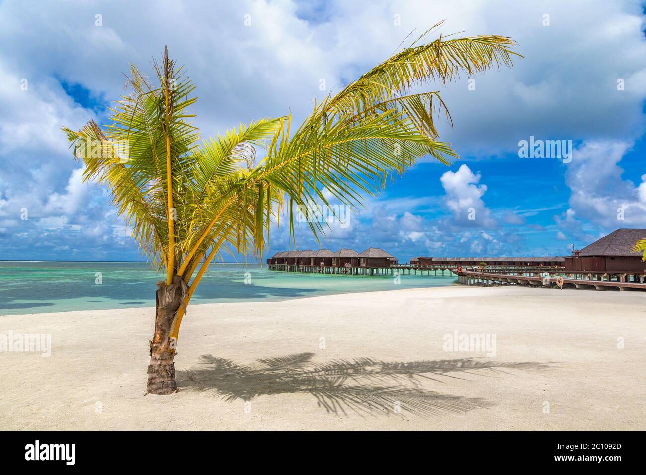 MALDIVES - JUNE 24, 2018: Palm tree at Tropical beach in the Maldives ...