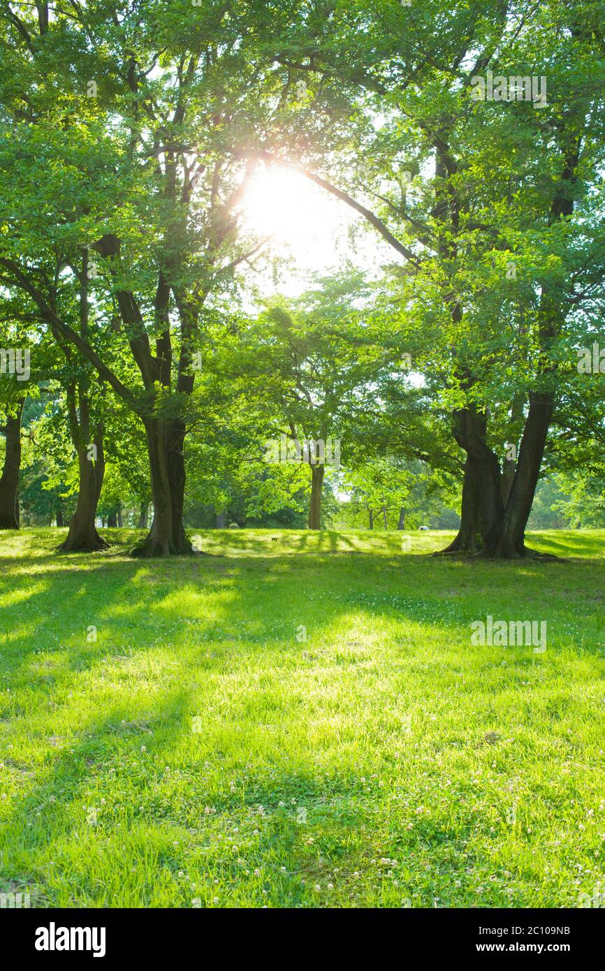 Sunshine park hi-res stock photography and images - Alamy