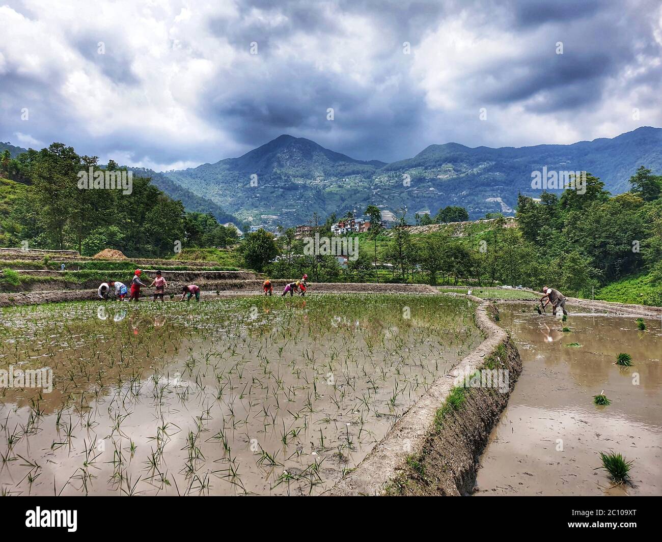 Kathmandu, Nepal. 13th June, 2020. Nepalese people participate in ...