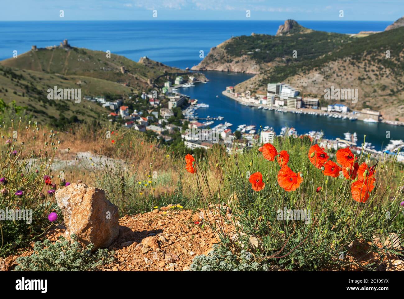 Red poppies on a background of Black Sea in Balaclava Bay Stock Photo ...
