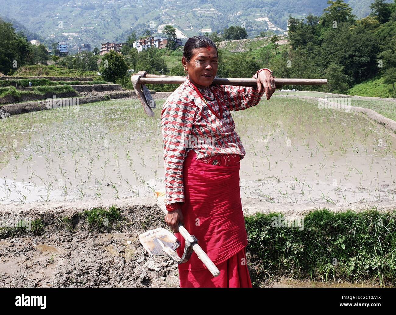 Kathmandu, Nepal. 13th June, 2020. A Nepali woman arrives carrying ...