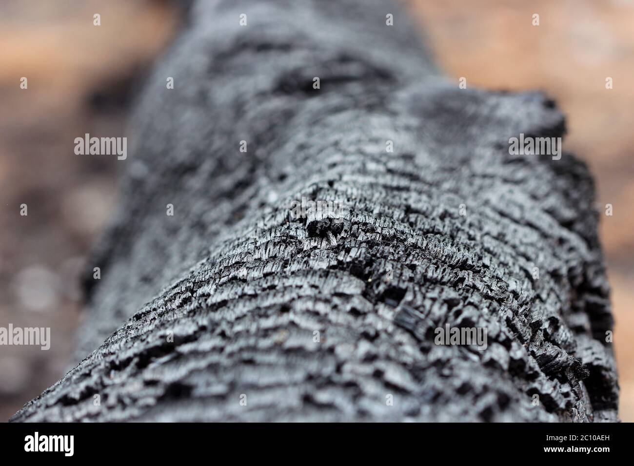 Burnt wood texture hi-res stock photography and images - Alamy