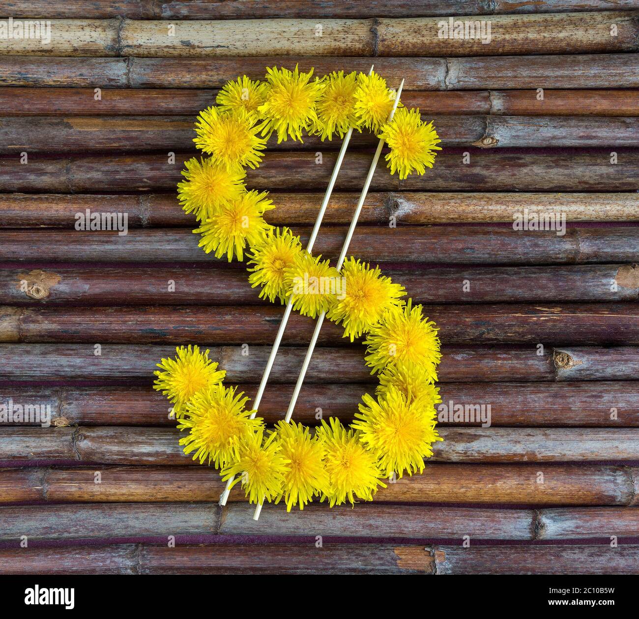 Dollar symbol made of flowers Stock Photo - Alamy