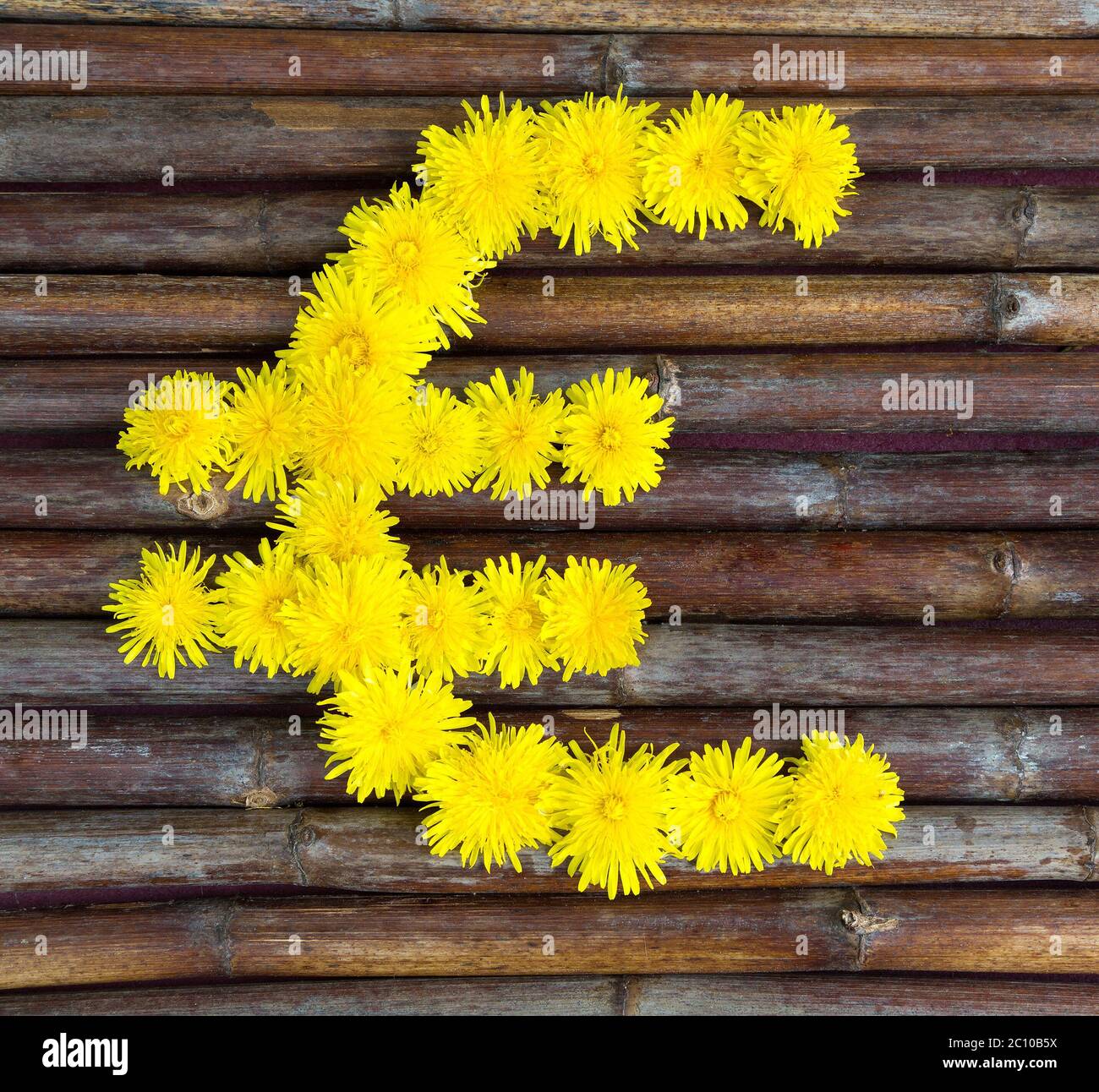 Euro symbol made of flowers Stock Photo - Alamy