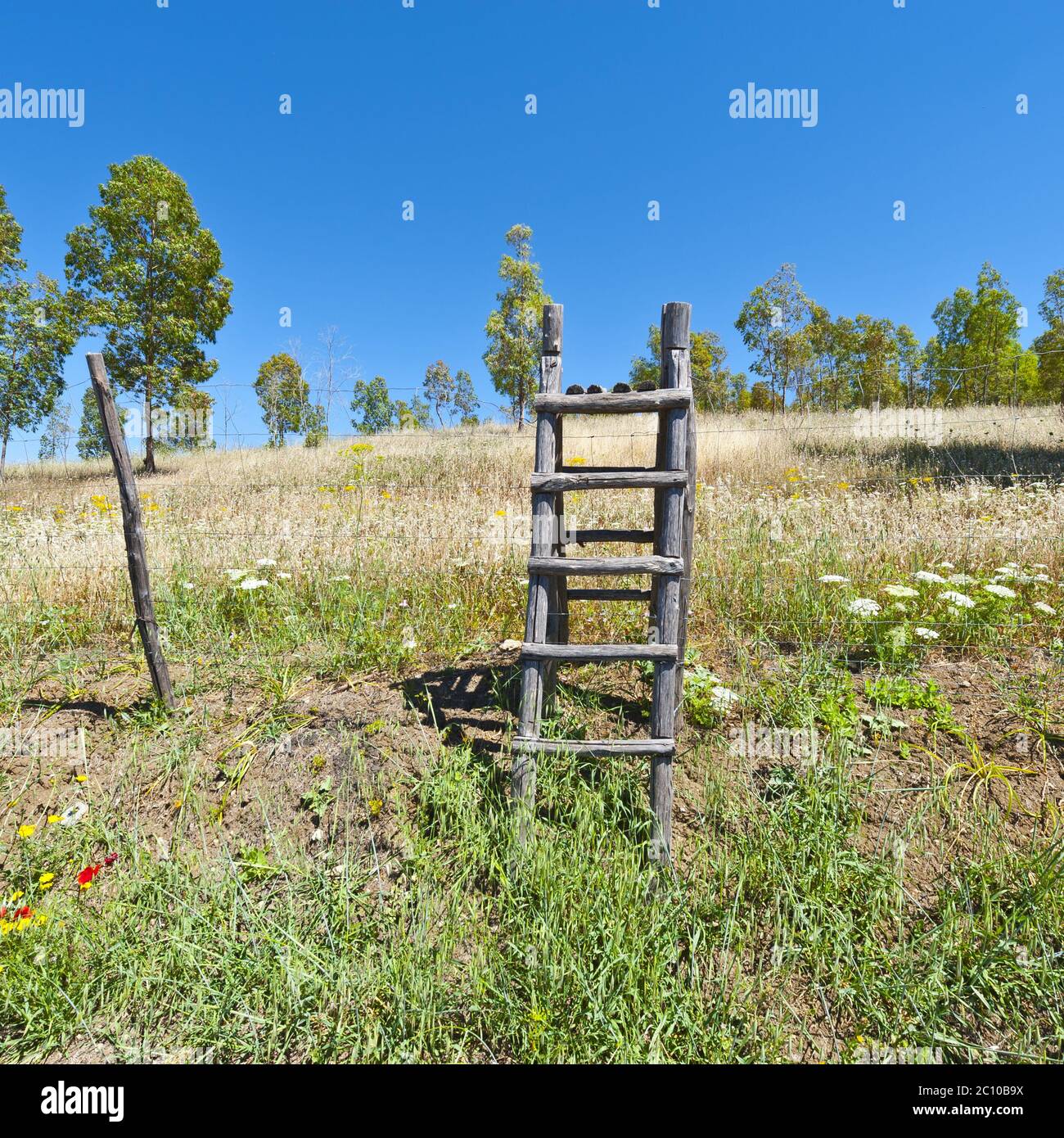 Italian ladder hi-res stock photography and images - Alamy