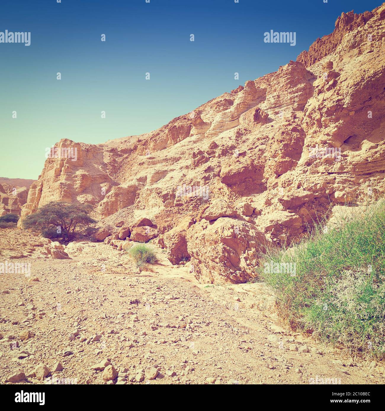 Desert in Israel Stock Photo - Alamy