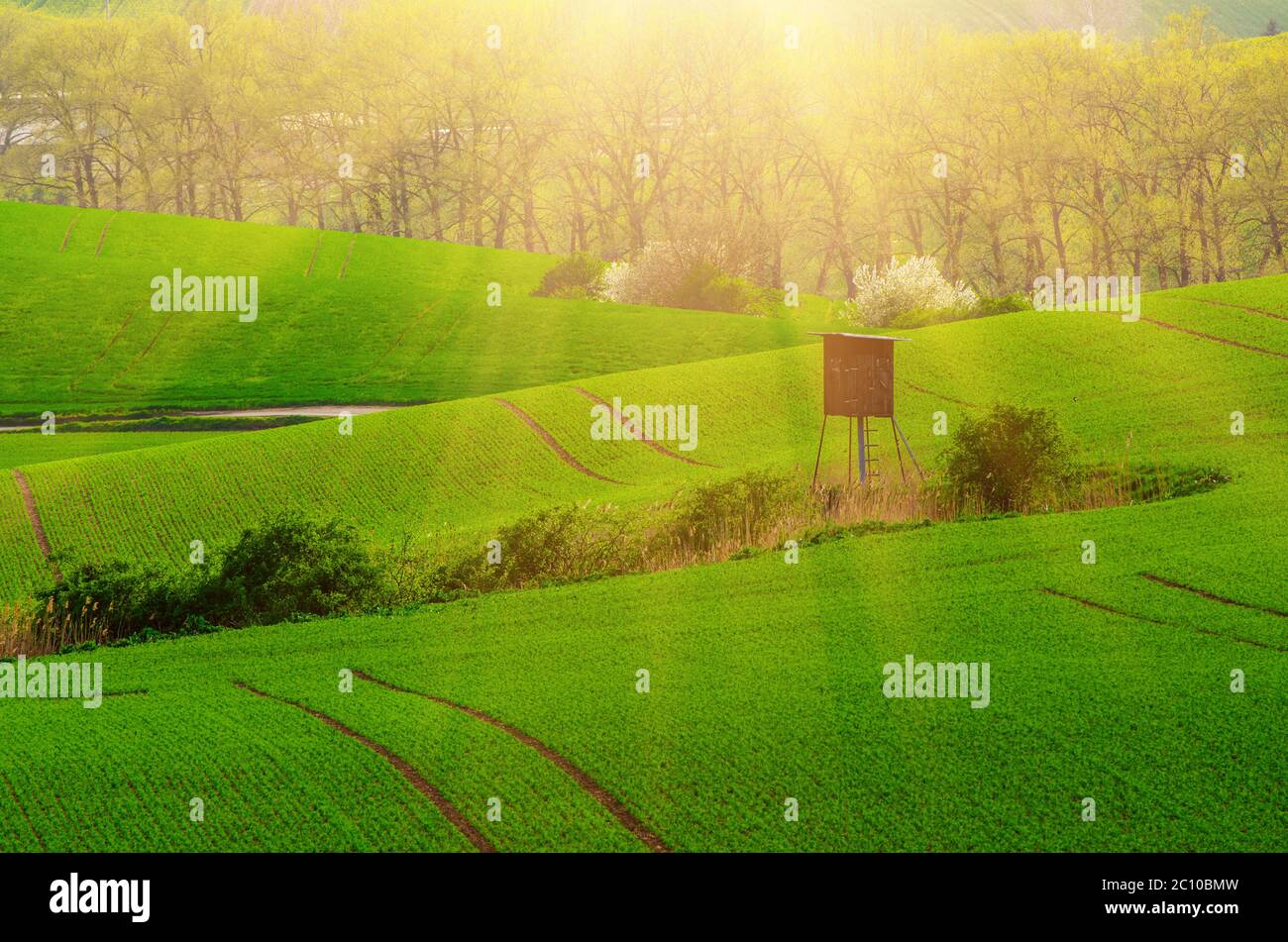 Rural spring landscape with green fields, trees and wooden hunting ...