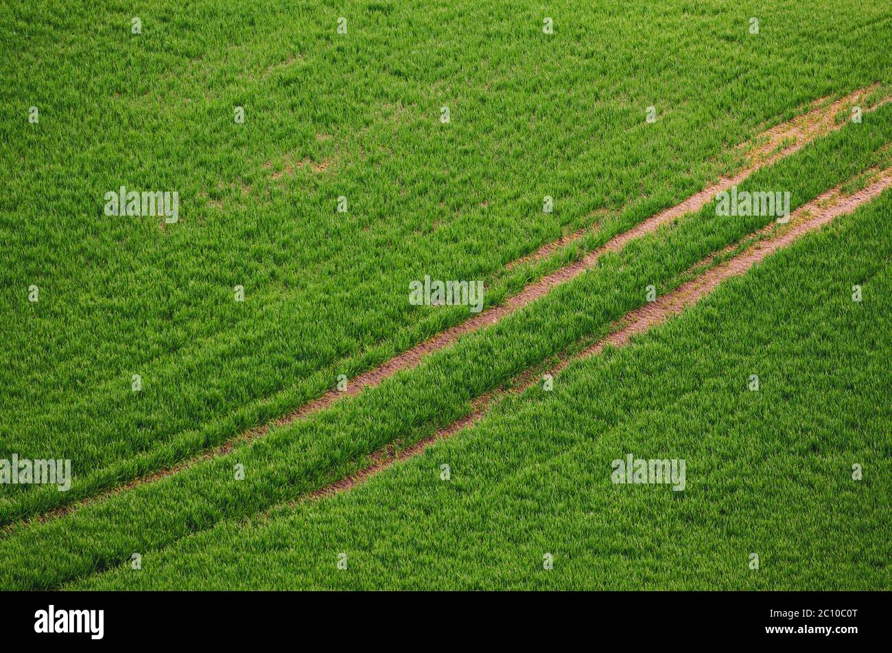 Southern moravia fields hi-res stock photography and images - Alamy
