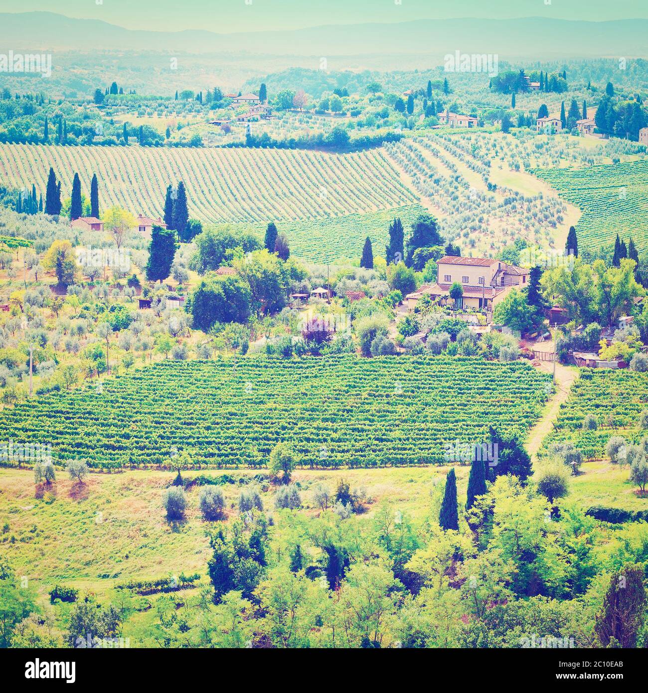 Tuscan forest landscape hi-res stock photography and images - Alamy