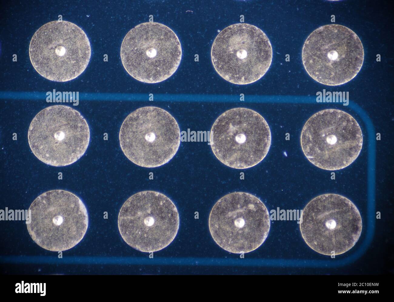 Macro photo of gold contacts are connecting matrix with PCB board Stock ...