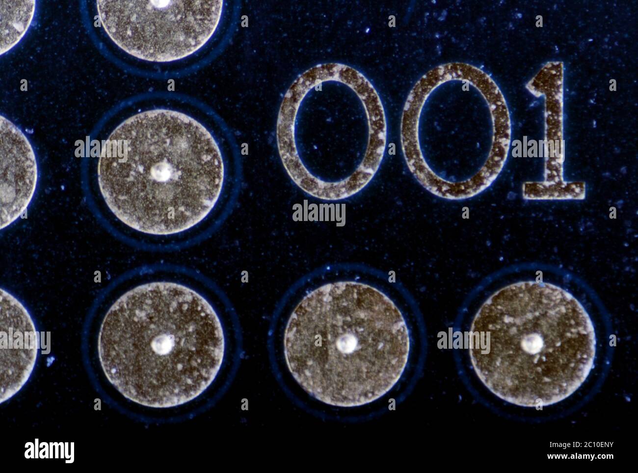 Macro photo of gold contacts are connecting matrix with PCB board Stock ...
