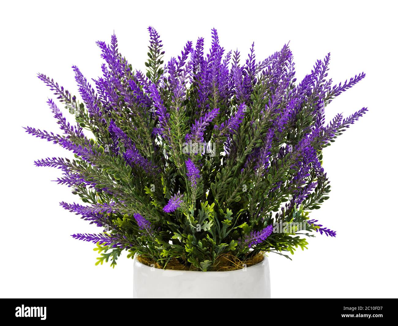 Lavender in vase Stock Photo - Alamy