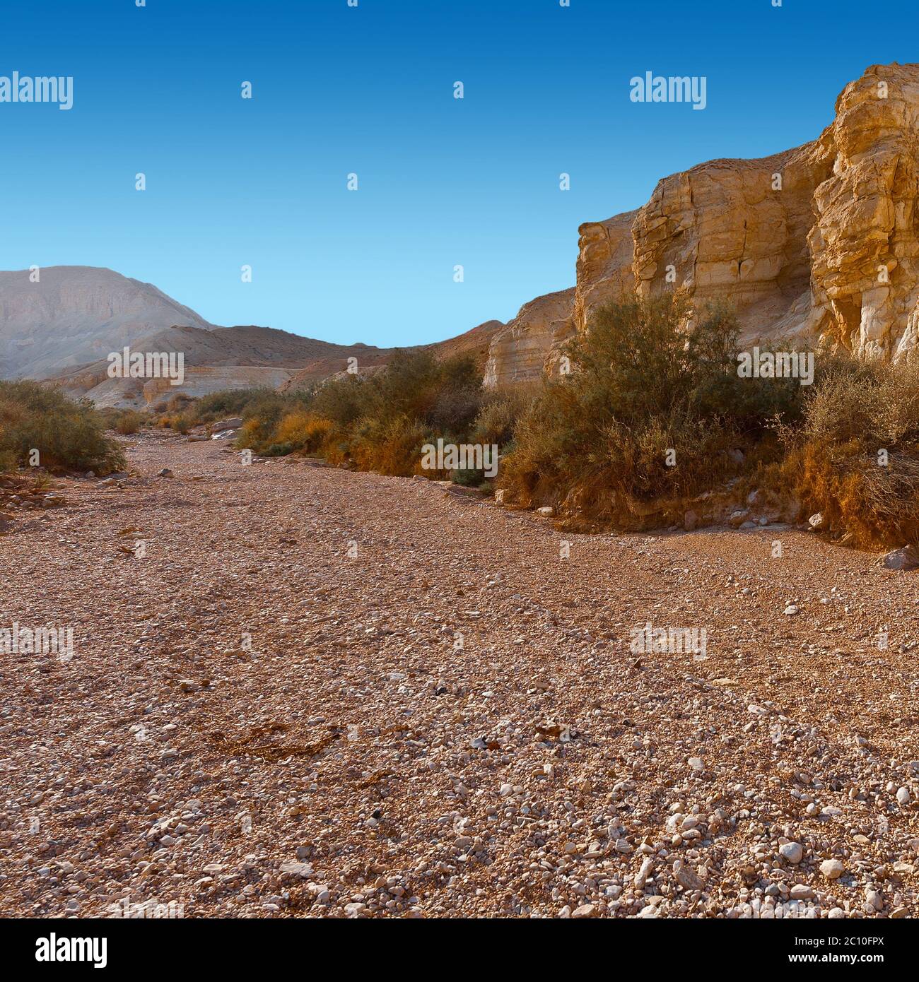 Desert in Israel Stock Photo - Alamy