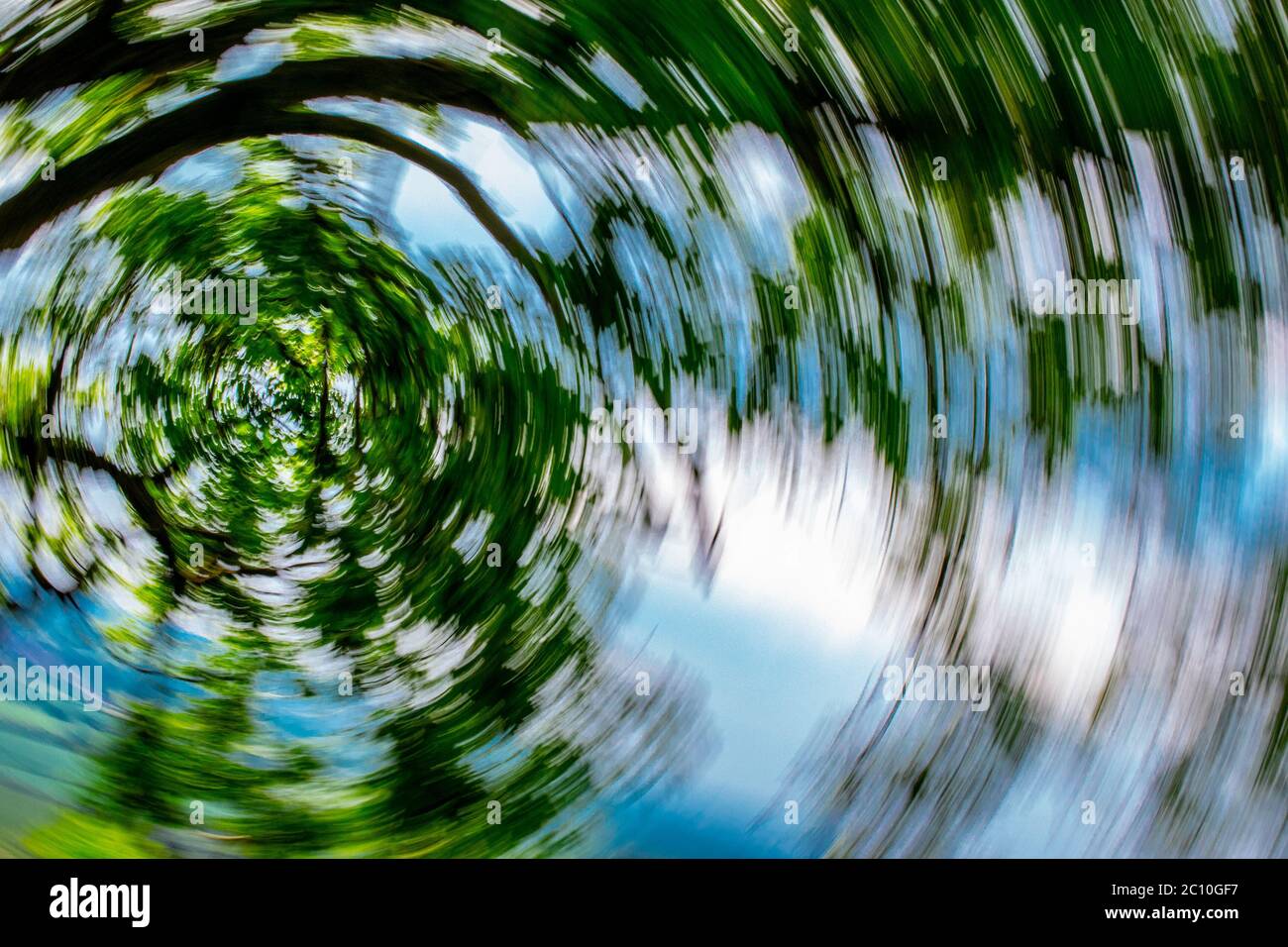 Abstract art with a bit of a twist trees and sky Stock Photo - Alamy