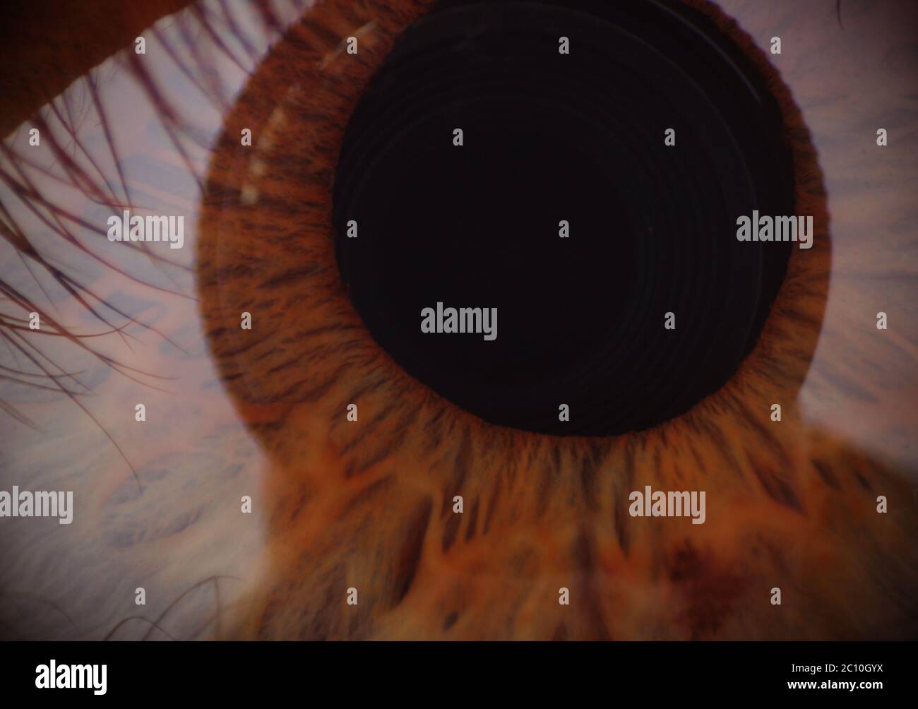 Human eye. macro shooting Stock Photo - Alamy