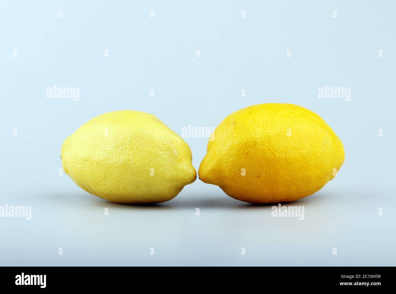 Two yellow lemons hi-res stock photography and images - Alamy