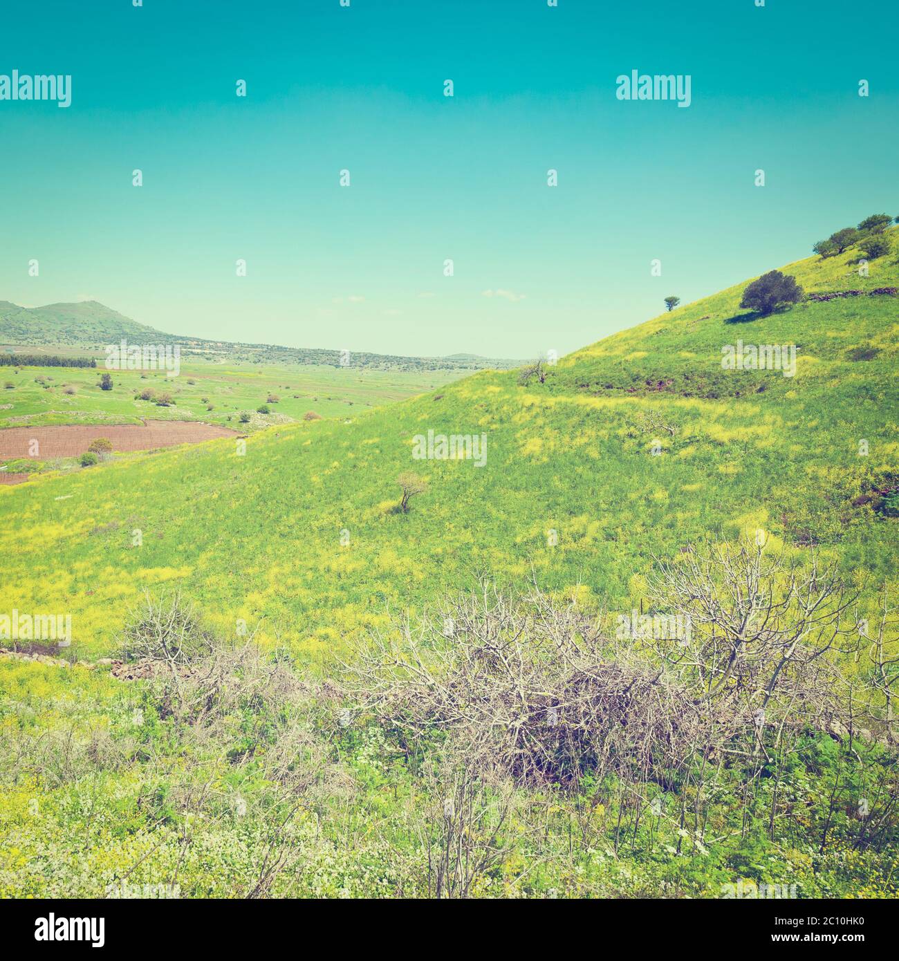 Golan square hi-res stock photography and images - Alamy