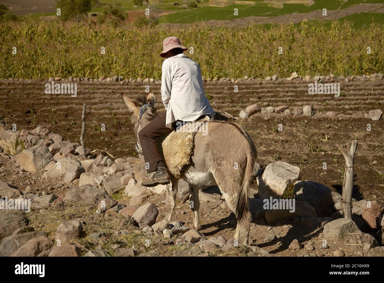 Man riding a donkey hi-res stock photography and images - Alamy