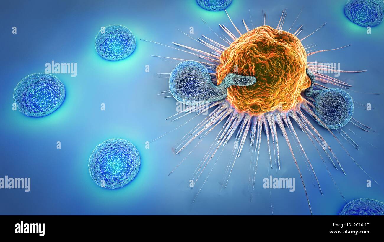 3d illustration of a cancer cell and lymphocytes Stock Photo - Alamy