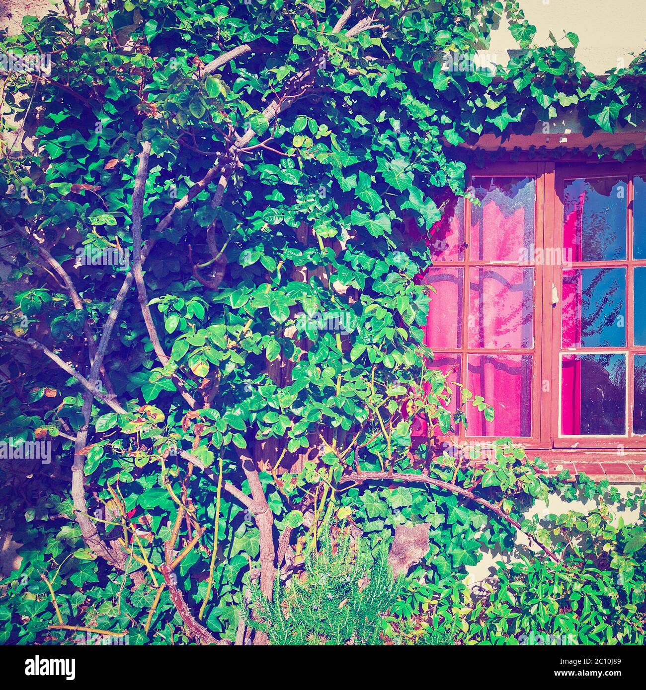 Decorated leaves window hi-res stock photography and images - Alamy