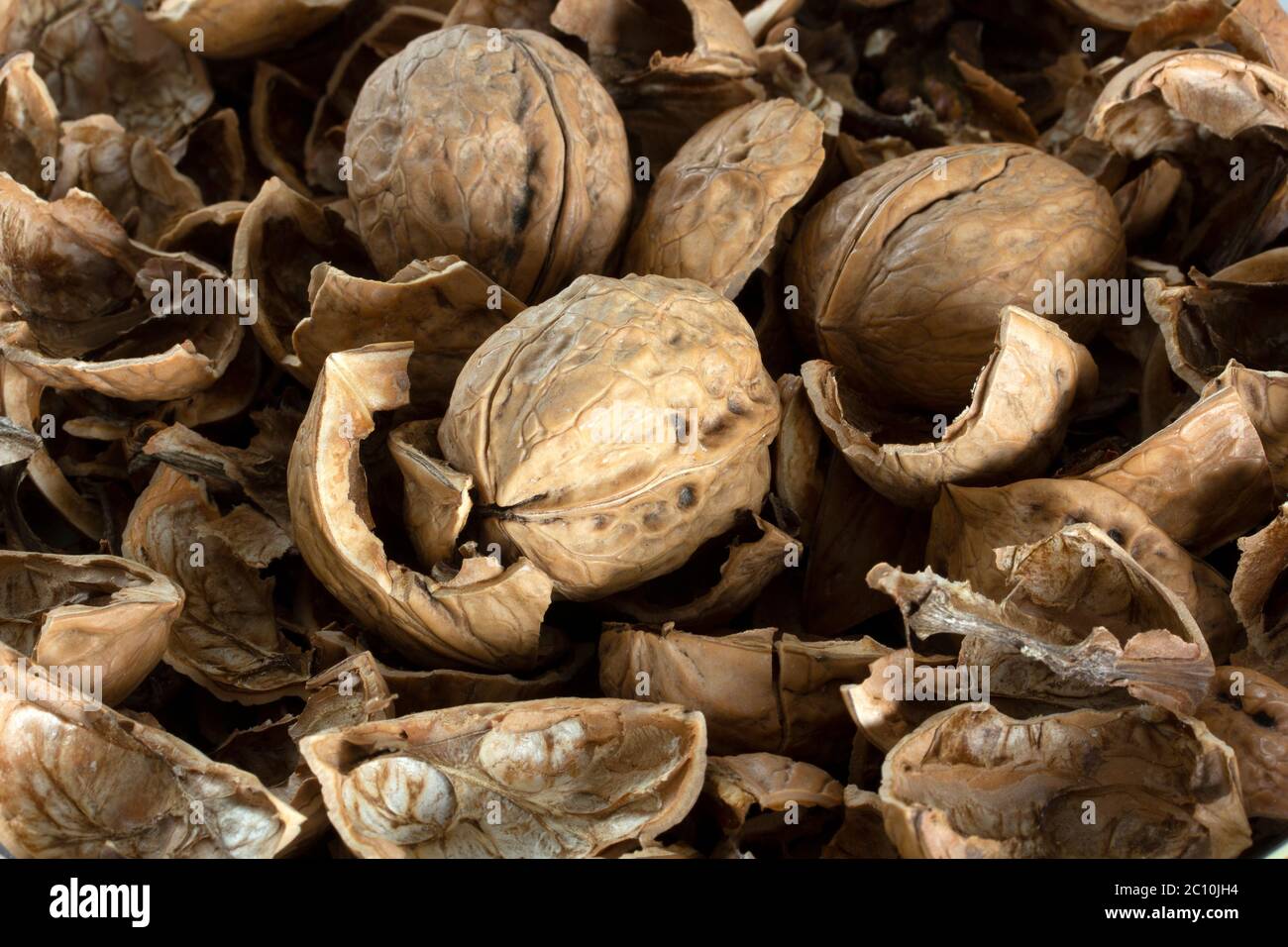 walnut shell and walnut texture background Stock Photo - Alamy