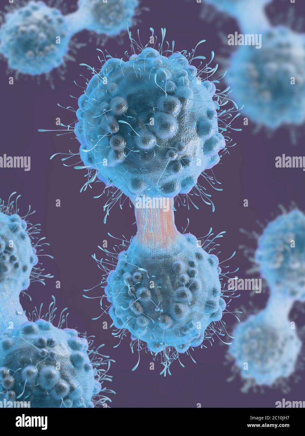 Cancer cell division hi-res stock photography and images - Alamy