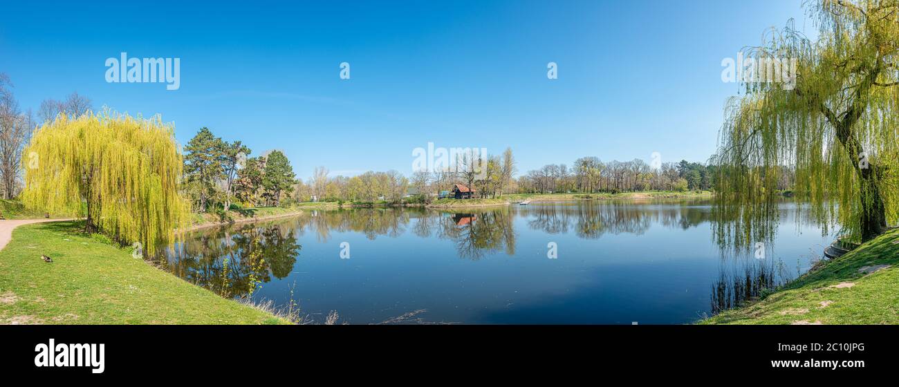 Panoramic cityscape of a small pond in the central city park in ...