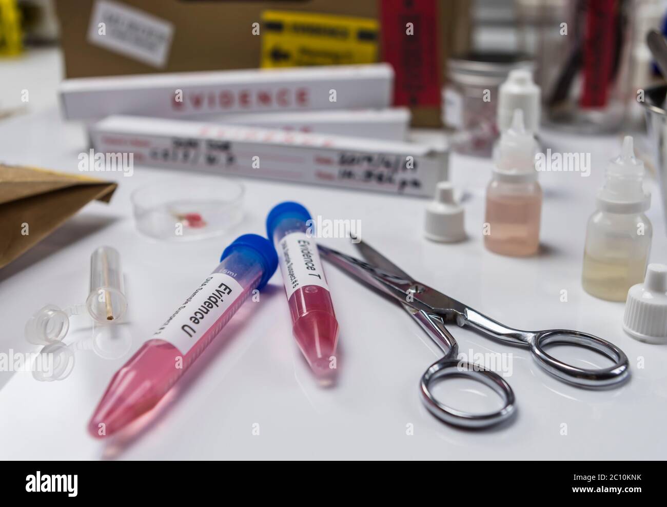 Hematological analysis with forensic test kit in a murder in a crime ...