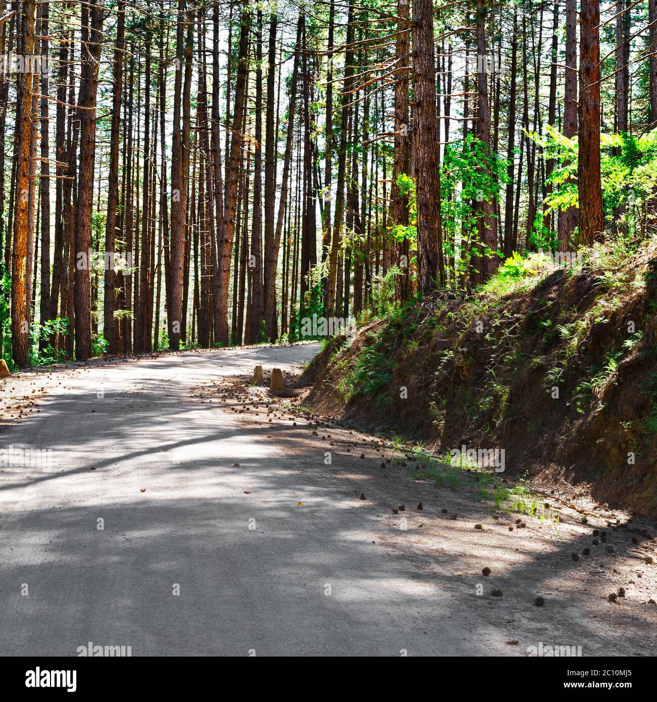Road in Italy Stock Photo - Alamy